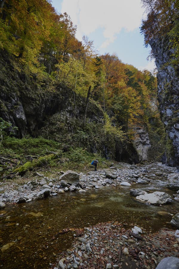 Landscape with the Gorge of a Mountain River Stock Image - Image of ...