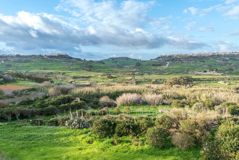 Landscape in Gozo, Malta stock image. Image of destination - 85632457