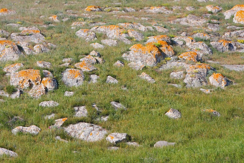 Landscape with Grass and Rocks Stock Image - Image of grass, rock: 14688803