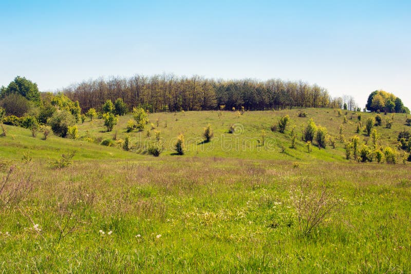 Landscape Of A Grassy Valley Hills With Trees And Sky Stock Image Image Of Plants Space
