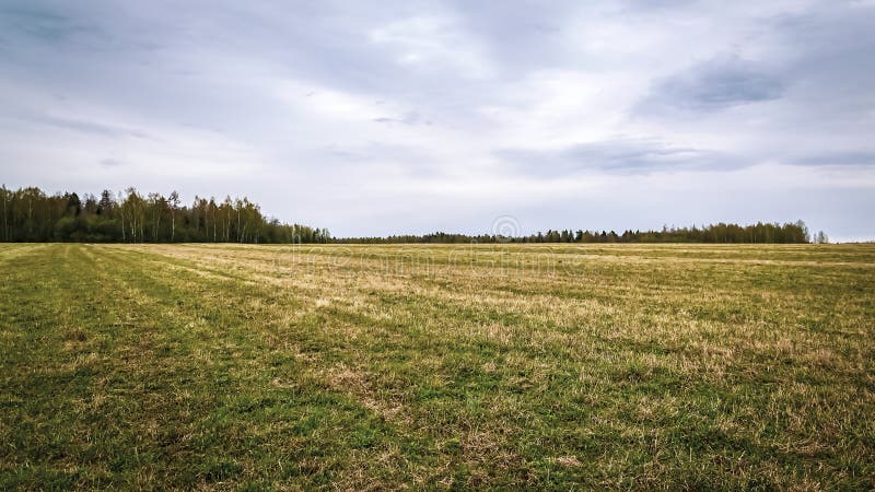 Landscape green field stock image. Image of countryside - 244765959