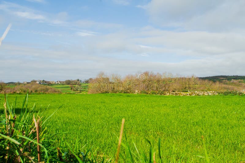 Landscape of a Green Field with Trees Background Stock Photo - Image of ...