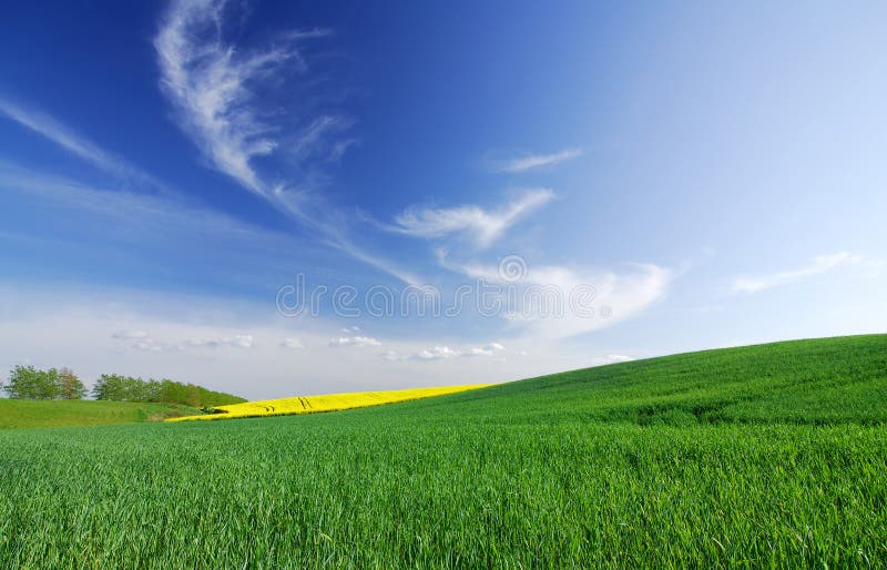 Landscape with Green Fields and Blue Sky Stock Photo - Image of idyllic ...