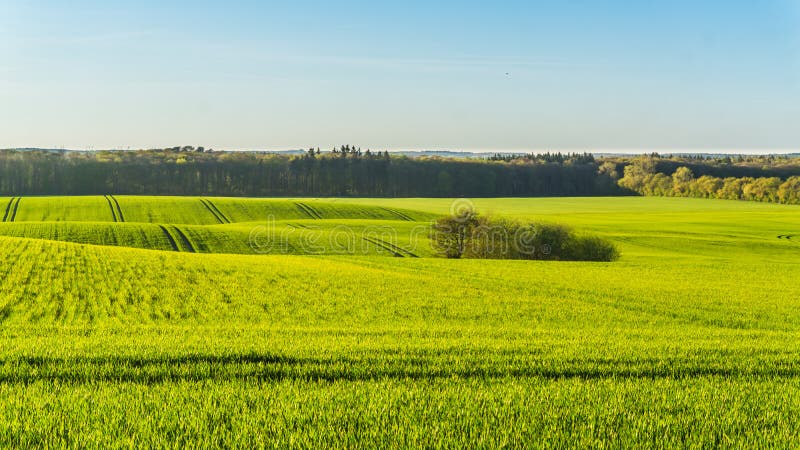 Landscape with Green Fields, Forest and Hills in Spring Season Stock ...
