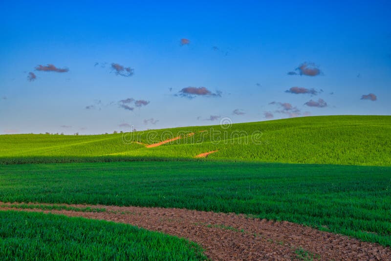 Landscape of the Green Fields in Northern Poland at Spring Time Stock ...