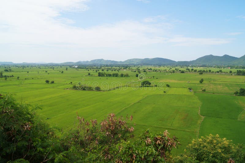 Landscape with Green Fields, Rice Fields of Asia Editorial Photography ...