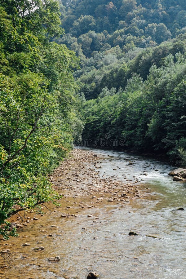 Landscape, Green Forest and Mountain River Water Stock Image - Image of ...