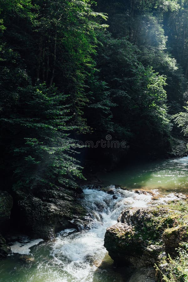 Landscape, Green Forest and Mountain River Water Stock Photo - Image of ...