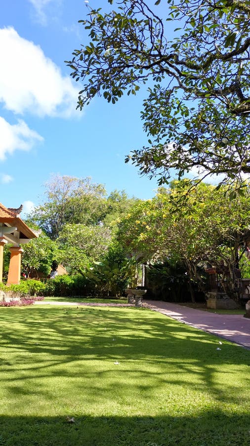 Landscape Green Garden Grass View Bali Stock Photo - Image of cottage ...