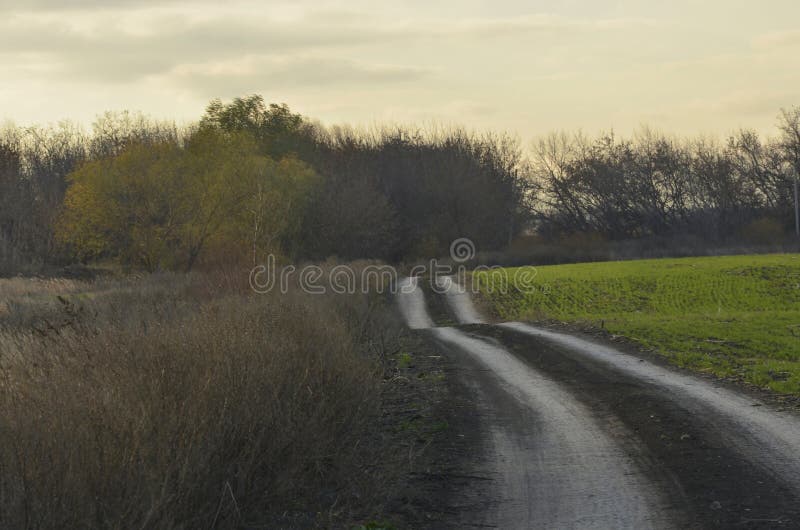 Landscape with Green Grass, Road and Clouds Stock Photo - Image of dirt ...