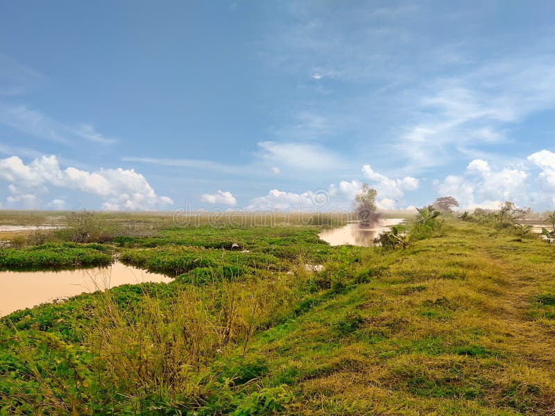 Landscape Green Land with Beautiful Blue Sky Stock Photo - Image of ...