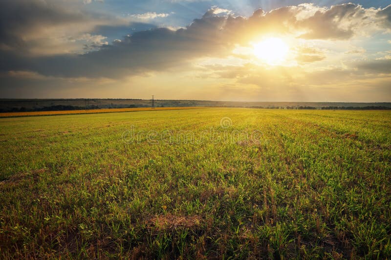 Landscape with Green Meadow and Sun. Stock Photo - Image of color ...