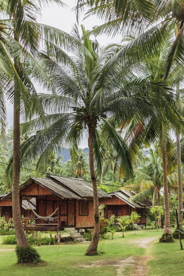 Landscape with Green Palms and Bungalows Stock Image - Image of forest ...