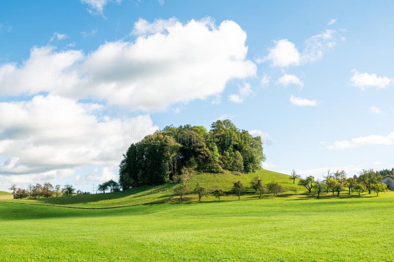 Landscape with Green Pastures Lands of Bavaria Stock Image - Image of ...