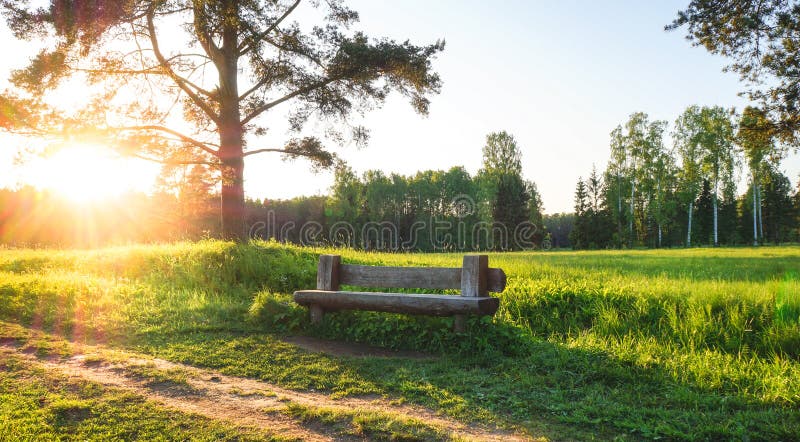 A Landscape with Greenery and Sun. Stock Image - Image of leaf, outdoor ...