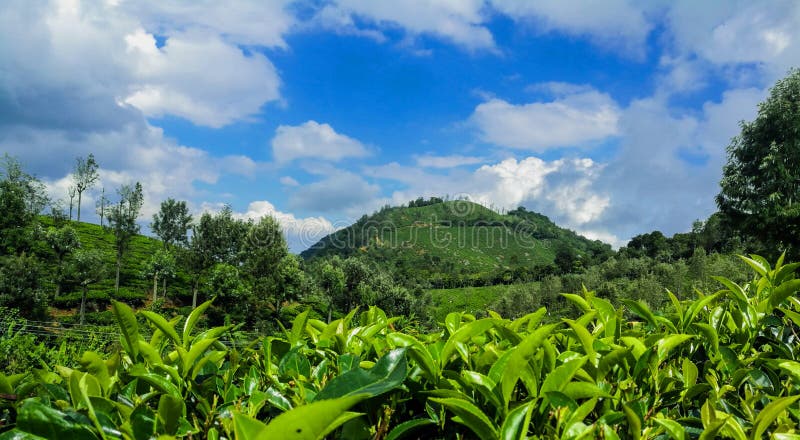Landscape of Greenish Mountain Under Blue Sky Stock Image - Image of ...