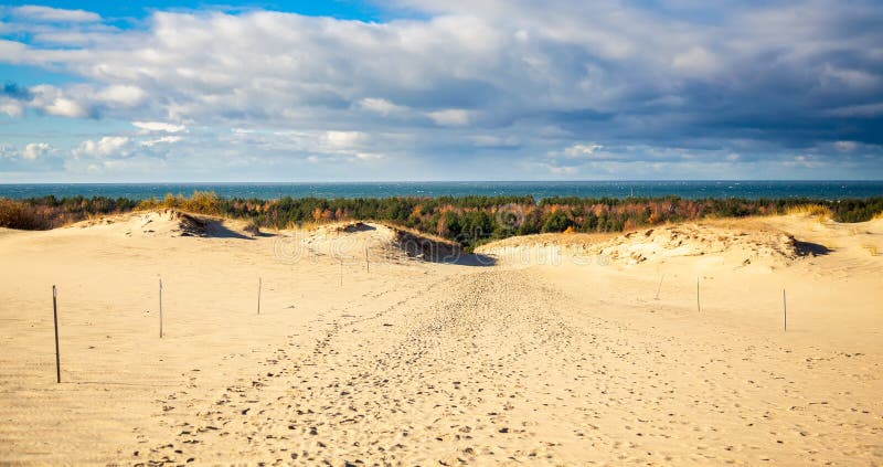 Landscape from Grey Dunes stock photo. Image of hedge - 126395106