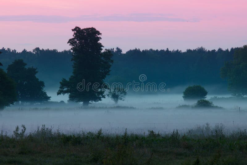 Landscape with ground fog stock photo. Image of morning - 37459426