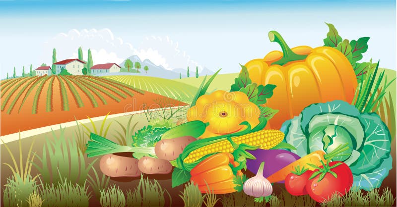 Landscape with a Group of Vegetables Stock Vector - Illustration of ...