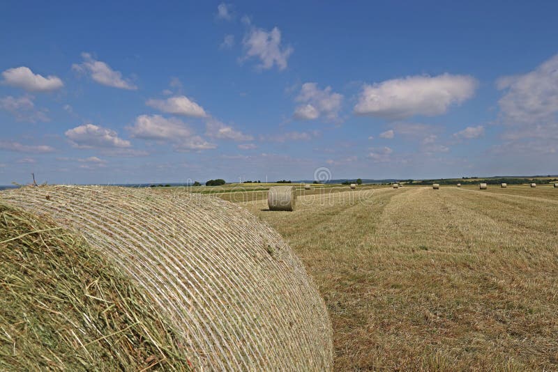 Landscape with Harvested Fields and Rolls of Hay Stock Photo - Image of ...