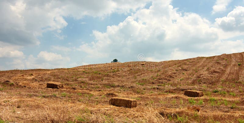 Square hay bales stock image. Image of crop, farming, prairie - 1717023