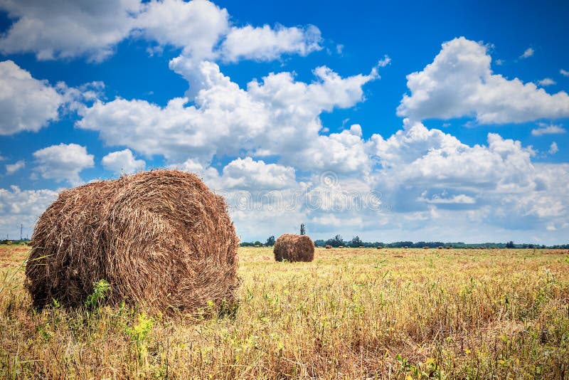 Landscape with Haystack on the Field Stock Image - Image of meadow ...