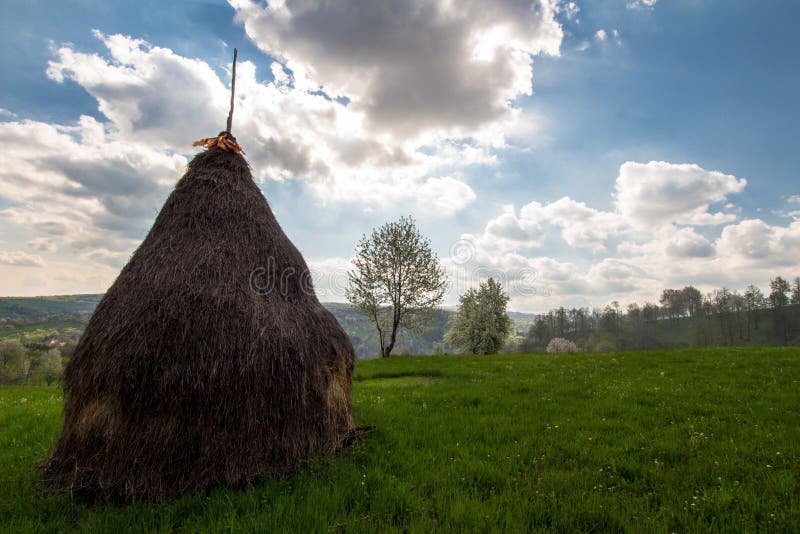 Haystack at Maramures, Romania 10 Stock Photo - Image of conical, food ...
