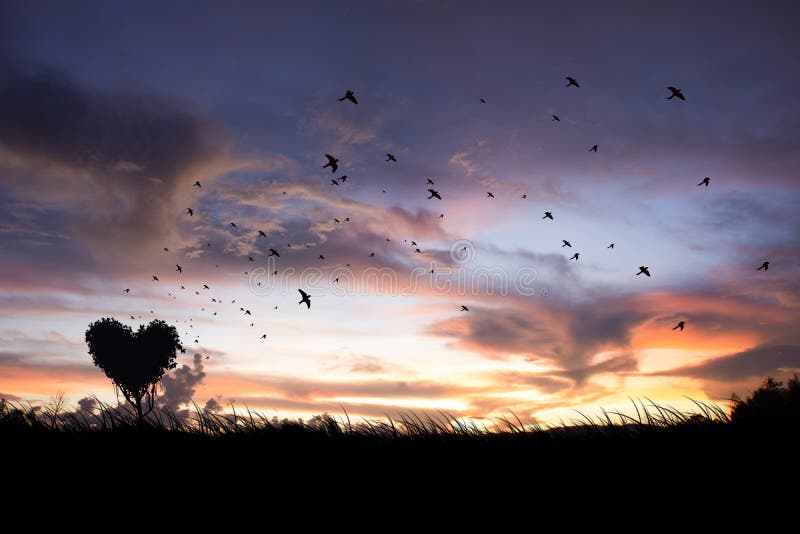 Landscape with Heart Shape Tree Stock Image - Image of abstract ...