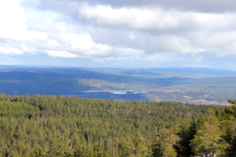 Landscape from high up stock image. Image of leaves - 138526081
