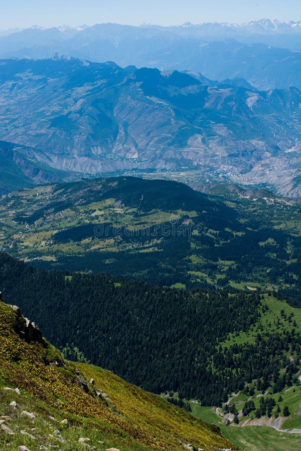 Landscape of Highland Forest Stock Image - Image of landscape, forest ...