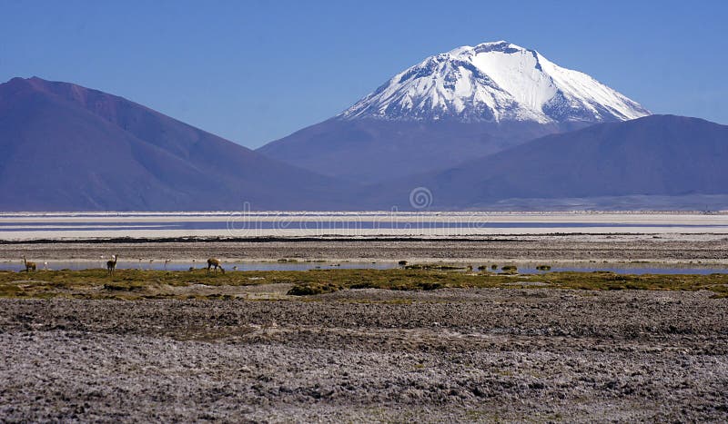 Landscape of the Highlands of the Andes, Chile Stock Image - Image of ...