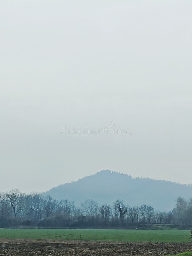 Landscape of a Hill with Fog Stock Photo - Image of wind, tree: 211465996