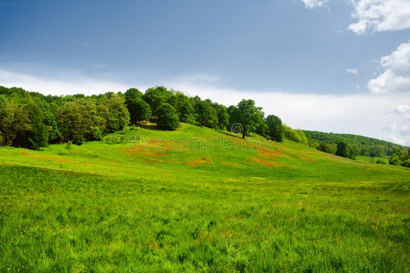 Landscape with Hill and Forest Stock Image - Image of countryside, hill ...