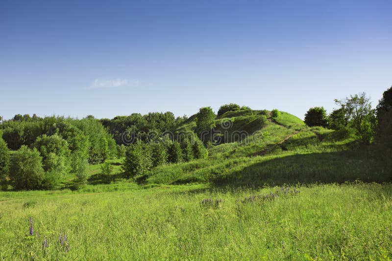 Landscape with Hill, Trees and Blue Sky Stock Image - Image of meadow ...