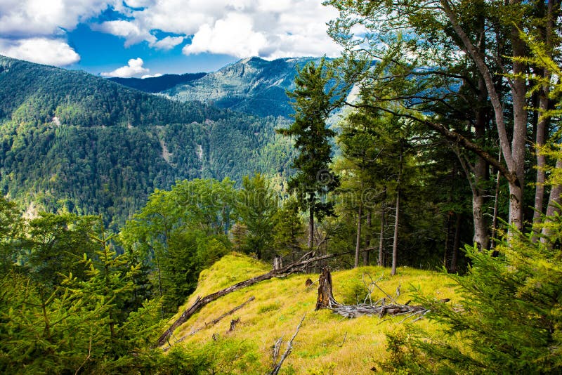 Landscape with Hills and Forest in Austria Stock Image - Image of ...