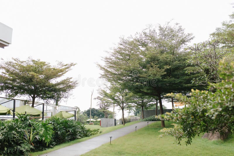 Landscape of a Hilly Garden and Pathway Filled with Trees and Greenery ...