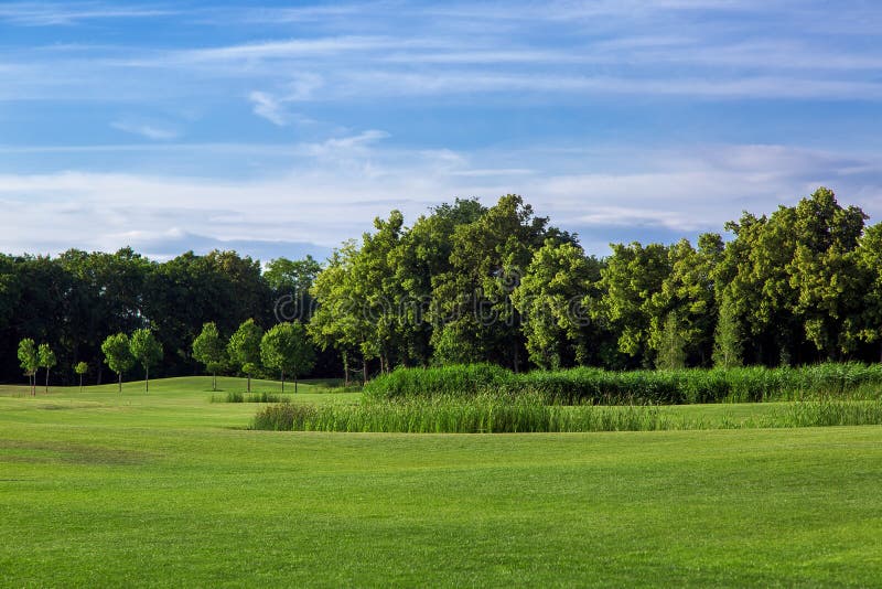 The Landscape of Hilly Glade. Stock Image - Image of reed, plant: 136645879