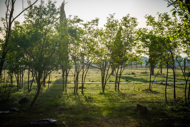 Landscape I stand out stock photo. Image of stand, environments - 91087082