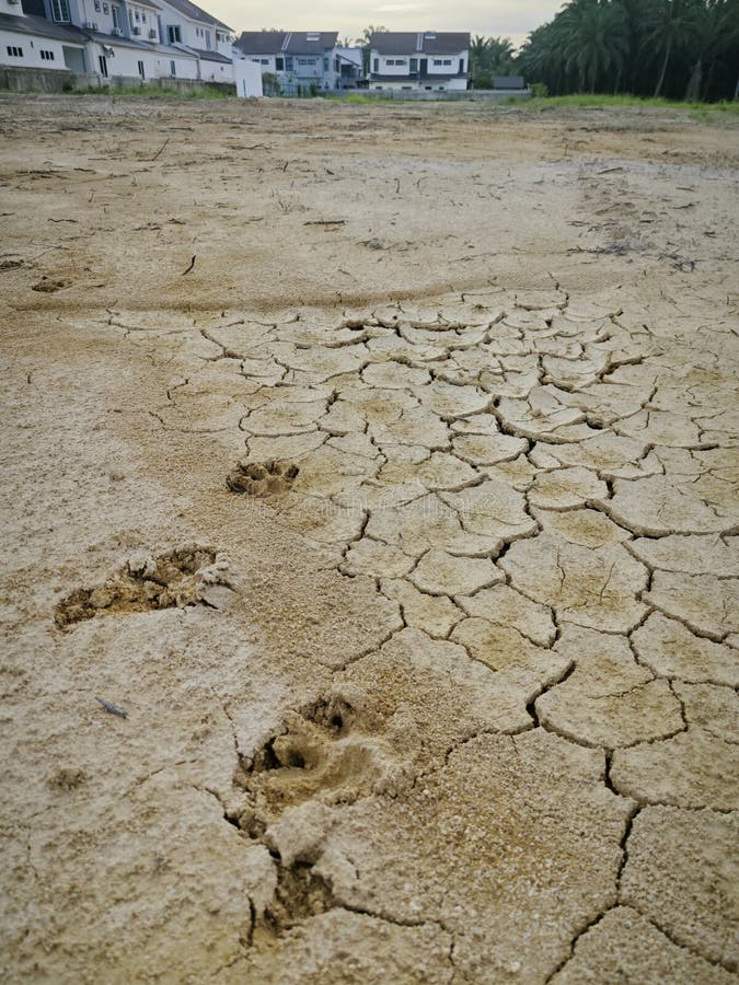 Common Natural Phenomenon on the Earth Surface Cracking. Stock Image ...