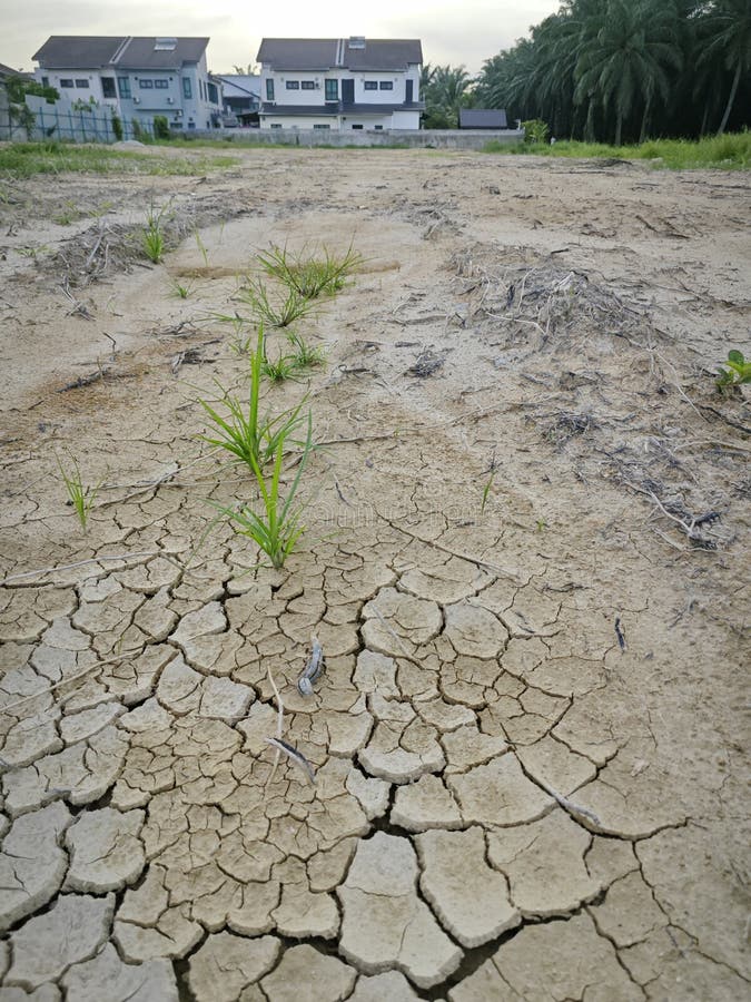 Common Natural Phenomenon on the Earth Surface Cracking. Stock Photo ...