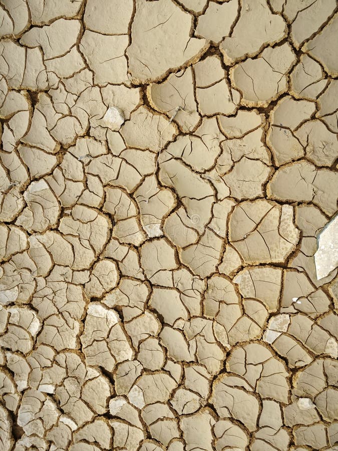 Common Natural Phenomenon on the Earth Surface Cracking. Stock Photo ...