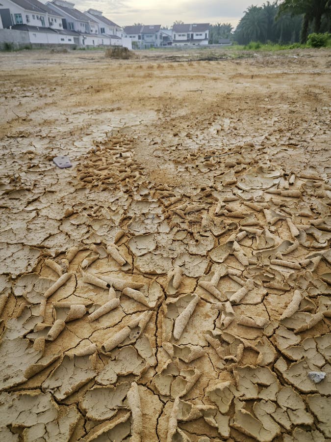 Common Natural Phenomenon on the Earth Surface Cracking. Stock Photo ...
