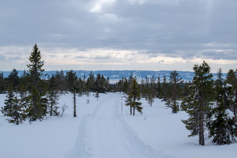 Landscape Image from Hedmarksvidda in Hedmark County Norway Stock Image ...