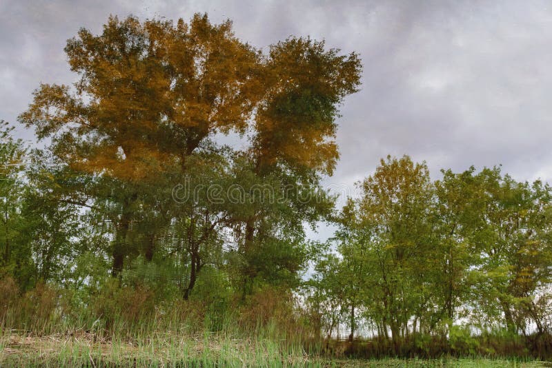 Landscape with the Image of River Side Stock Photo - Image of ...