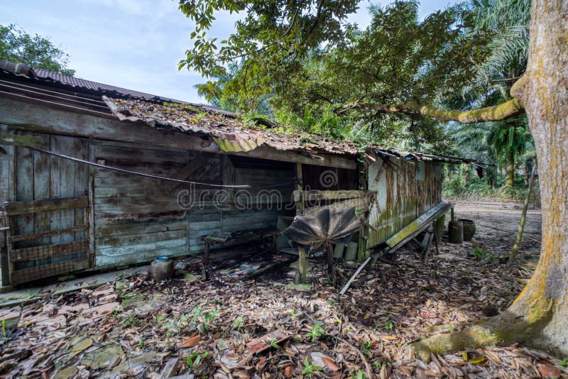 A Vacant Dilapidated House Stands Alone at the Plantation Stock Image ...