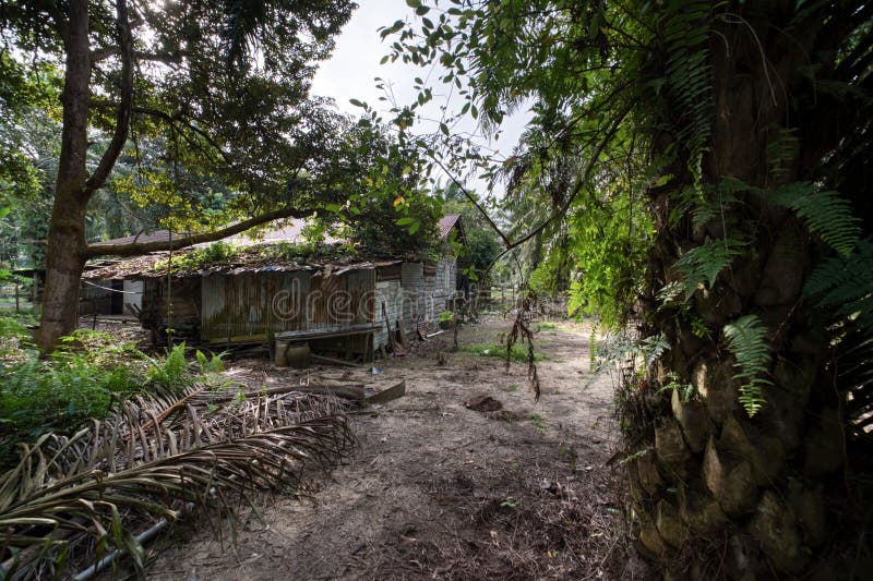 A Vacant Dilapidated House Stands Alone at the Plantation Stock Photo ...