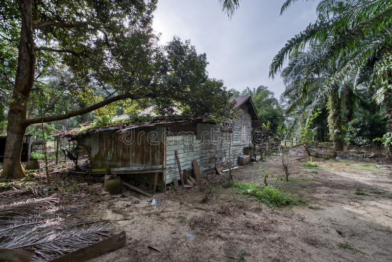 A Vacant Dilapidated House Stands Alone at the Plantation Stock Photo ...