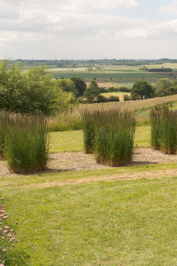 A Rural Landscape Image in Yorkshire England Stock Image - Image of ...