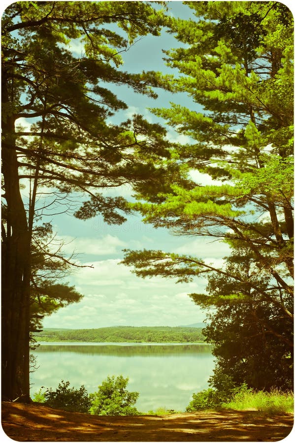 Landscape Image Viewing Water through Break in the Trees Stock Image ...