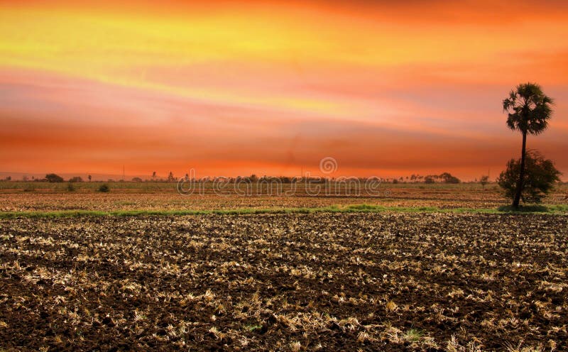 Landscape in India stock photo. Image of barren, nature - 13833838